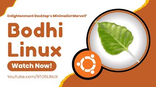 Bodhi Linux 2025 The Ultimate Lightweight Distro 9to5linux Mp3 Music ...