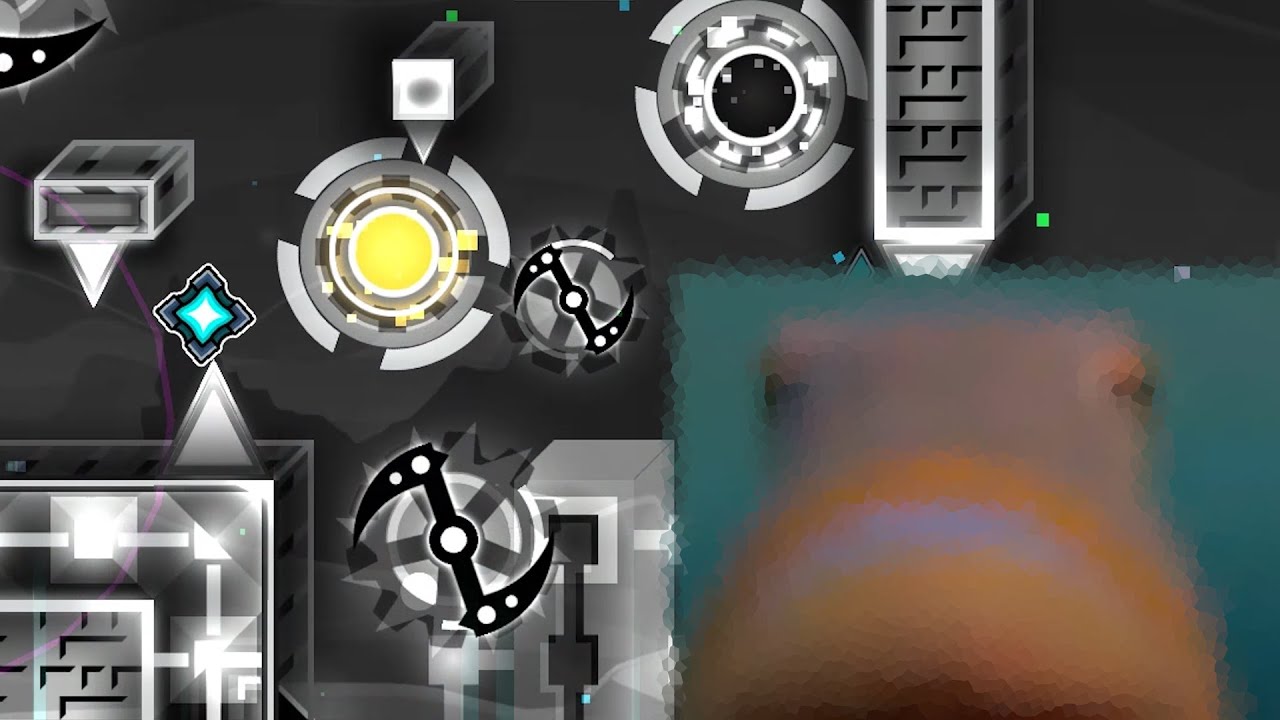 Fish Youtube