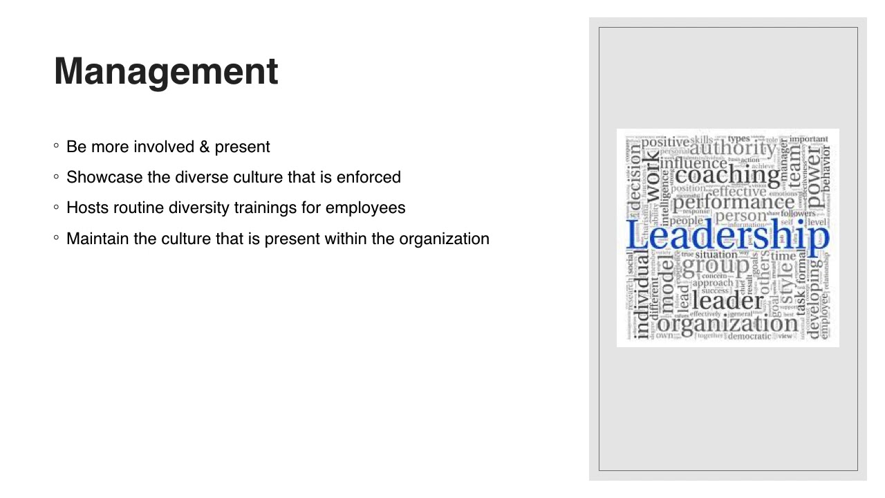 Presentation Diversity Audit Final Report Lsal 4143 Youtube