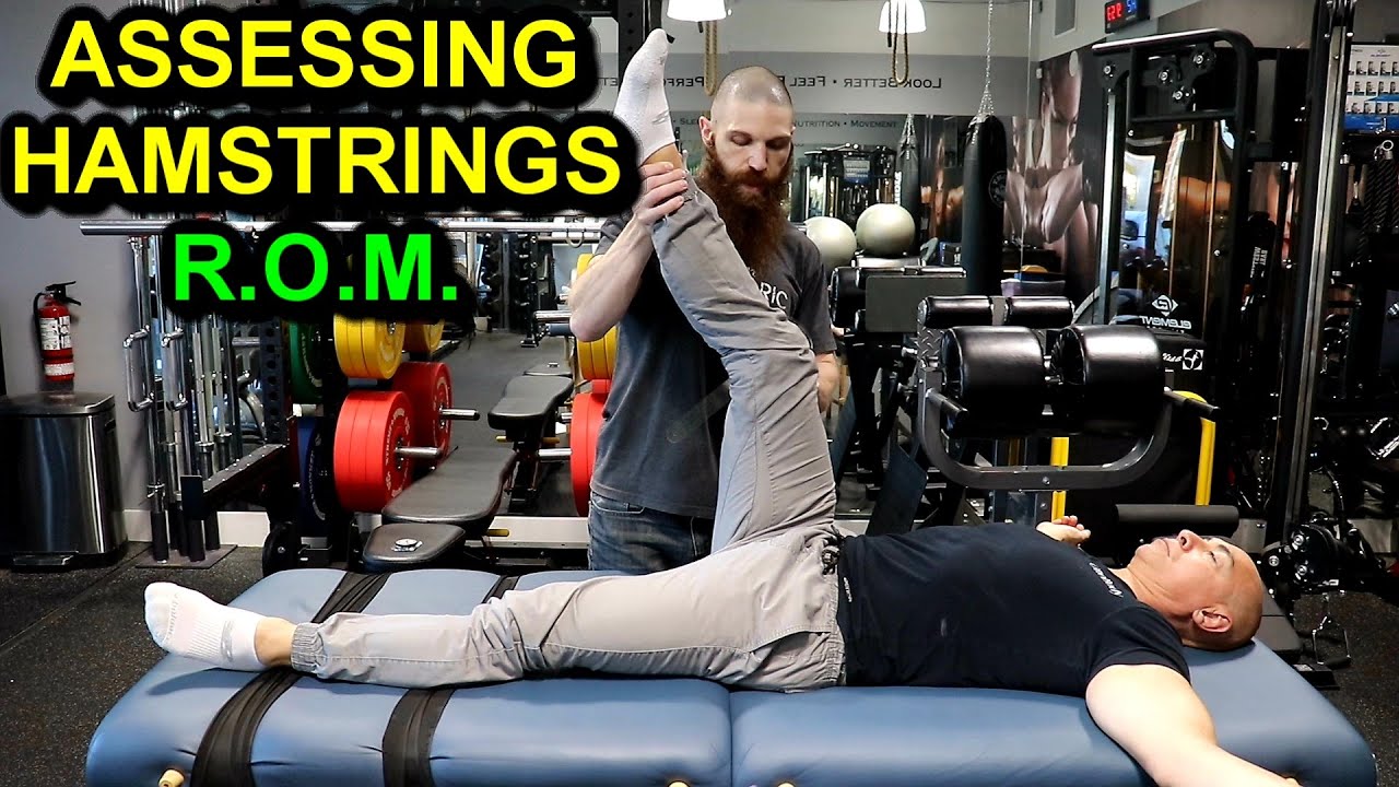 Hamstring Length Test At Brayden Woodd Blog