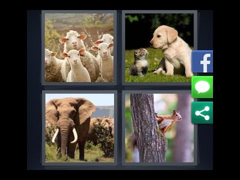 4 Pics 1 Word Level 54 Hd Iphone Android Ios Youtube