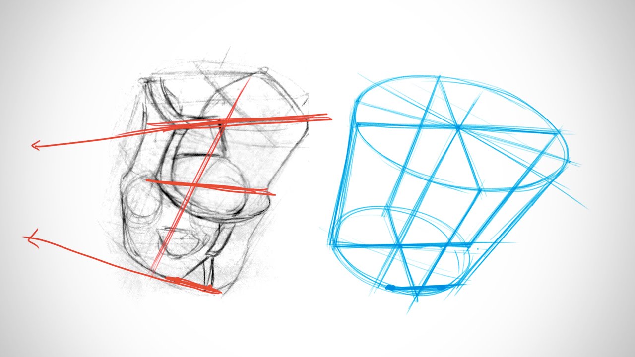 Anatomy Critiques The Pelvis Youtube