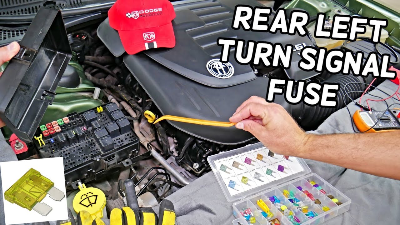 What Is Turn Signal Fuse At Nicholas Ramsey Blog