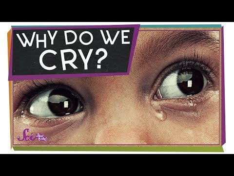 Why Do We Cry When We Re Sad Safe Videos For Kids