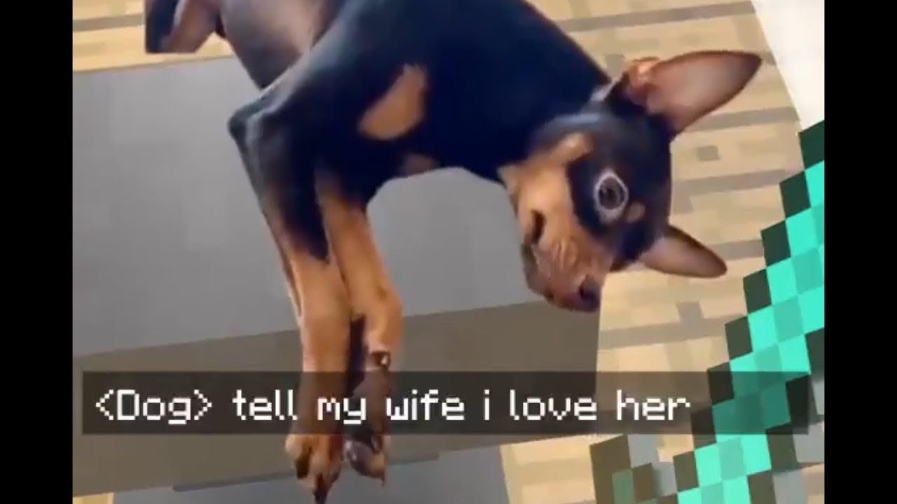 Meme Compilation Part 1 Youtube