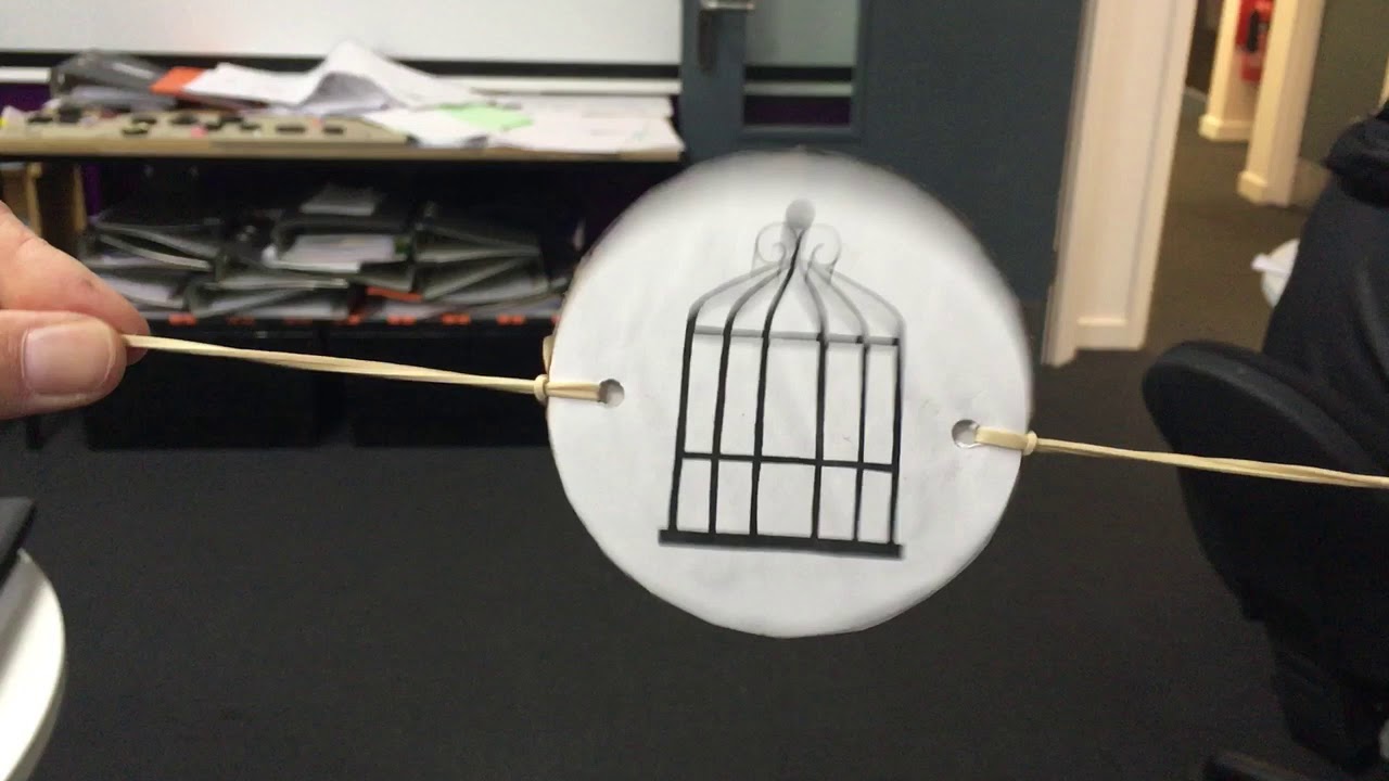 Thaumatrope Example Youtube