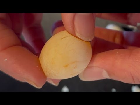 Asmr Peeling Raw Quail Eggs Challenge Youtube