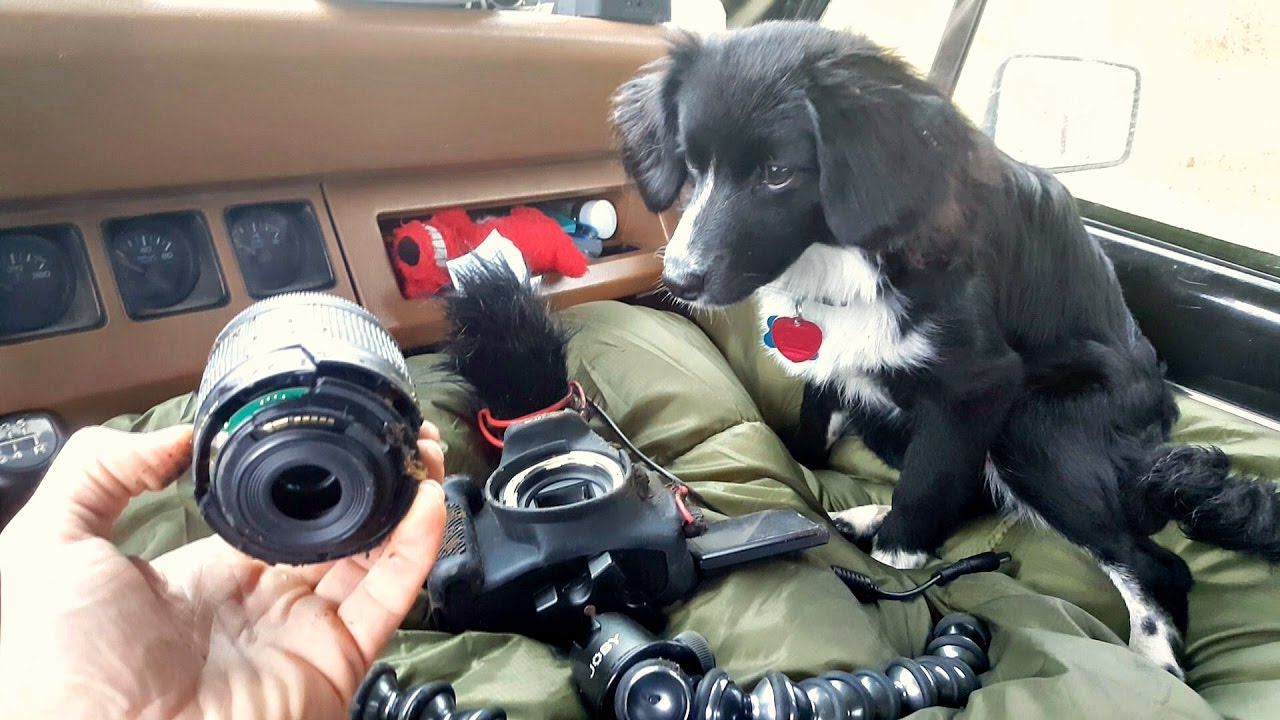 I Ran It Over Youtube