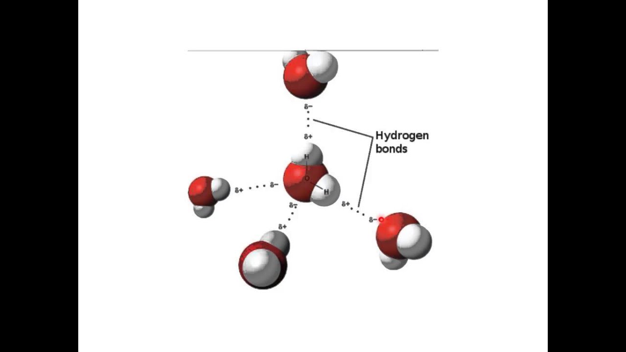 Water Structure And Properties Youtube
