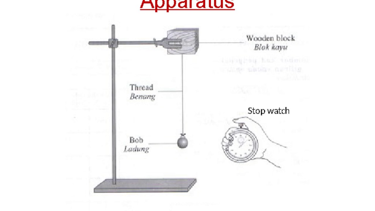 Pendulum Experiment Physics At Sarah Fox Blog