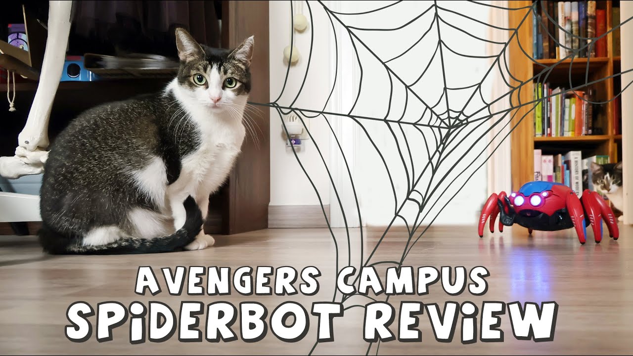 Avengers Campus Spiderbot Review Youtube