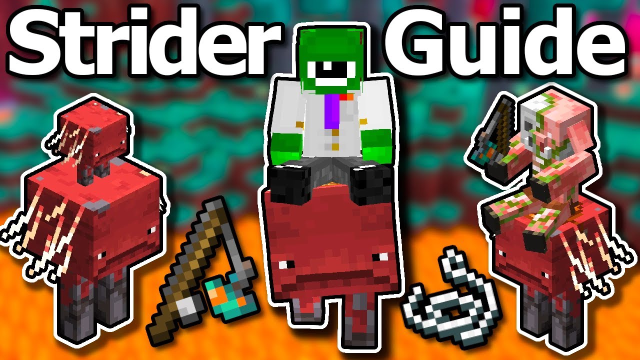 Ultimate Minecraft 1 21 Strider Guide How To Ride Striders Fast