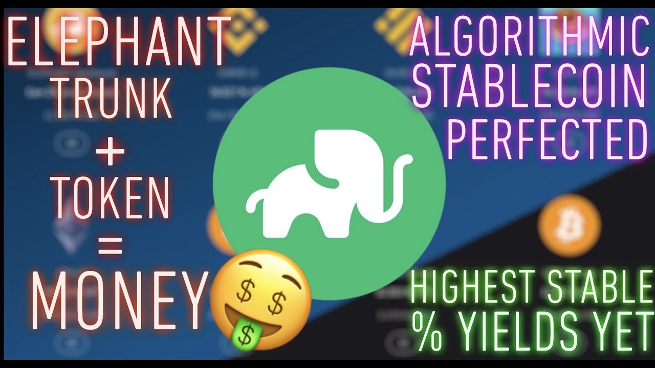 Elephant Trunk Detailed Overview History Of Elephant Token How