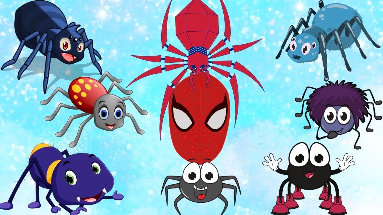 Itsy Bitsy Spider Spider Song Rhymes For Kids Nursery Rhymes