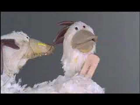 Foster Farms Transformation Youtube