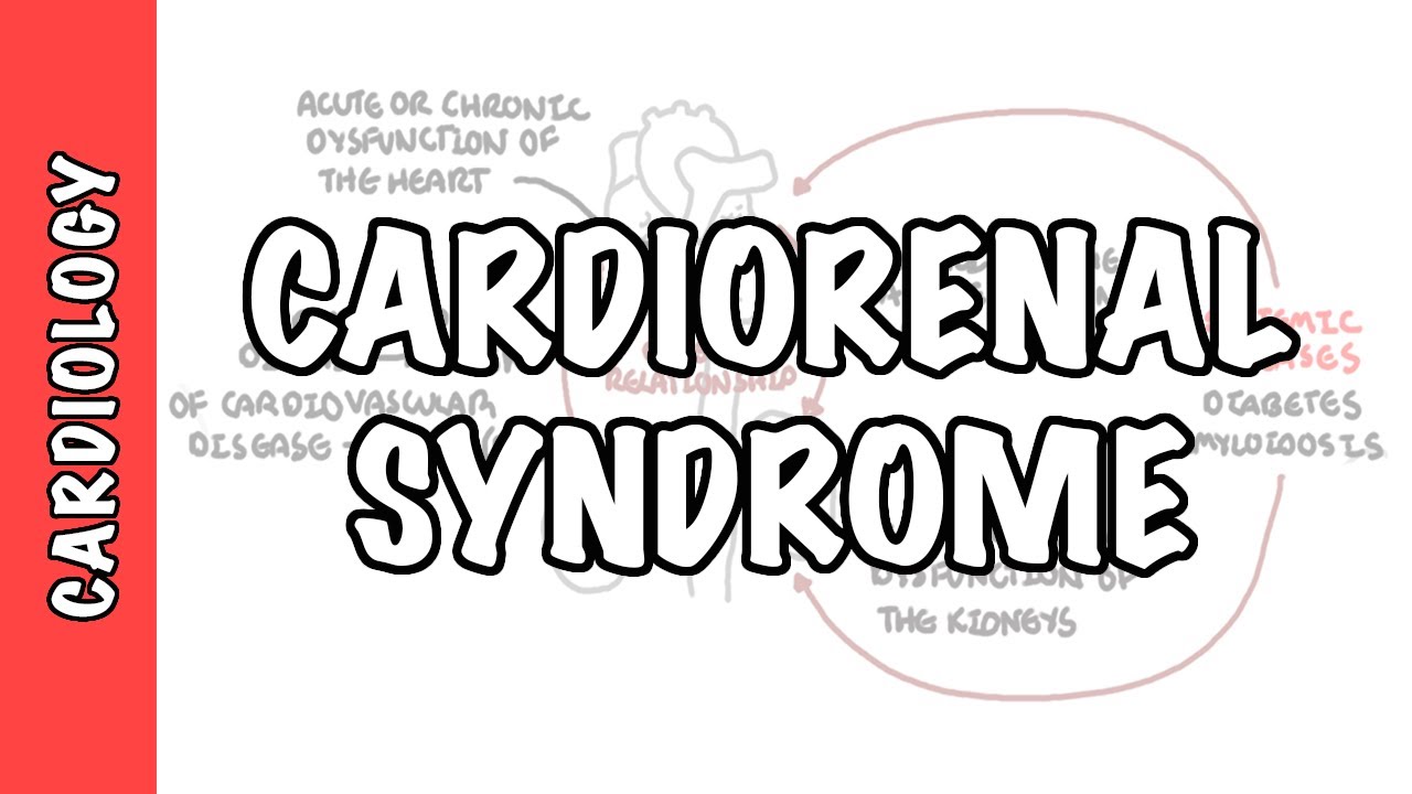 Cardiorenal Syndrome Classification Mechanism Pathophysiology