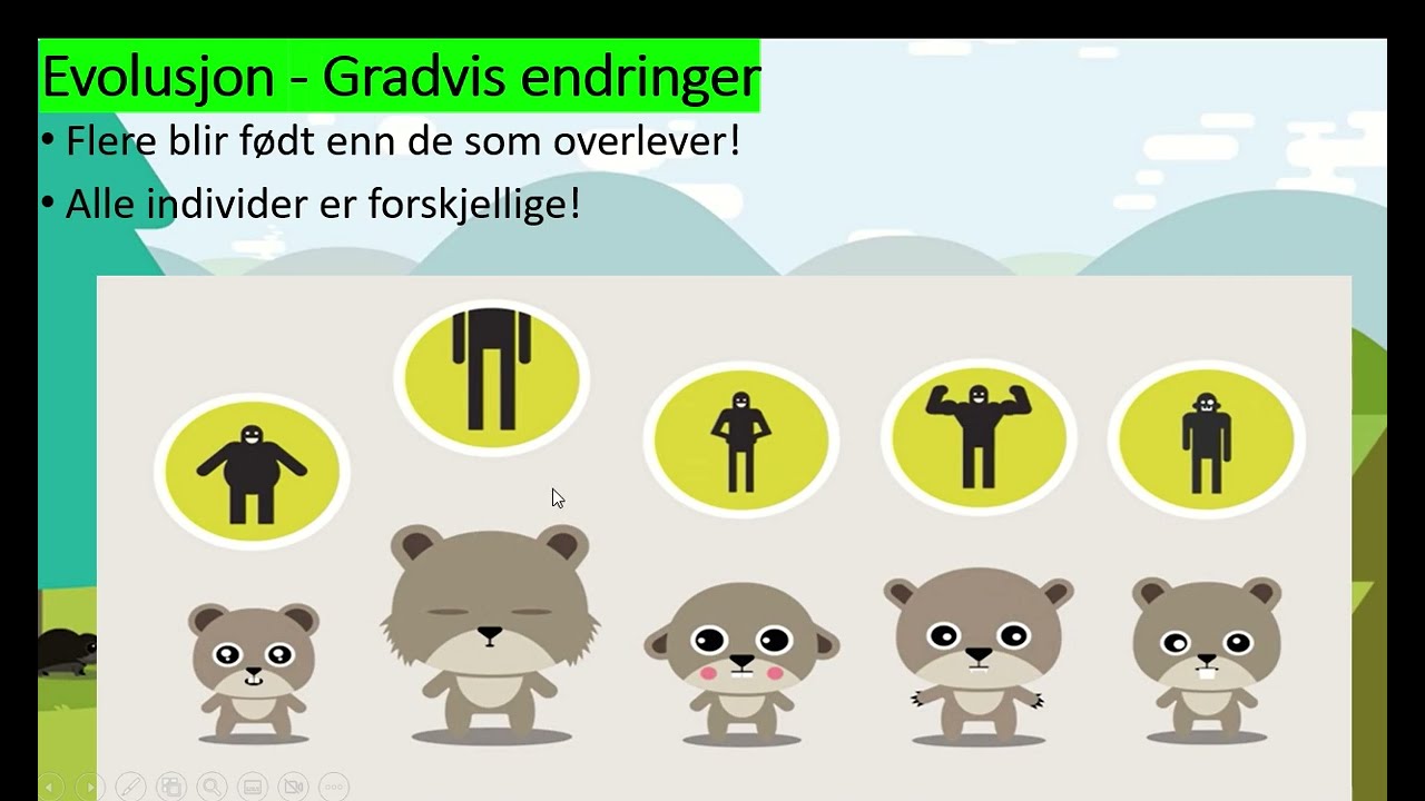 Evolusjon Forklart For Ungdomsskoleelever Youtube