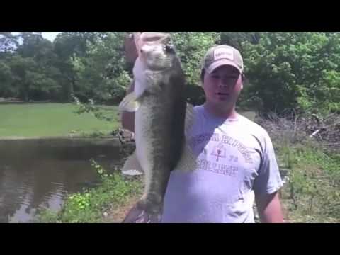Big Bass Compilation Youtube