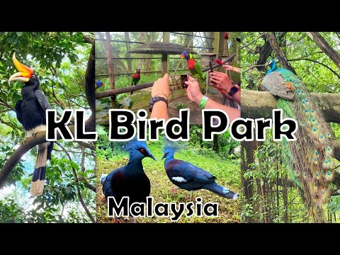 Kl Bird Park A Must Visit Destination In Malaysia Youtube