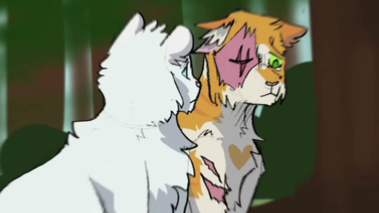 Cloudtail X Brightheart Edit Youtube