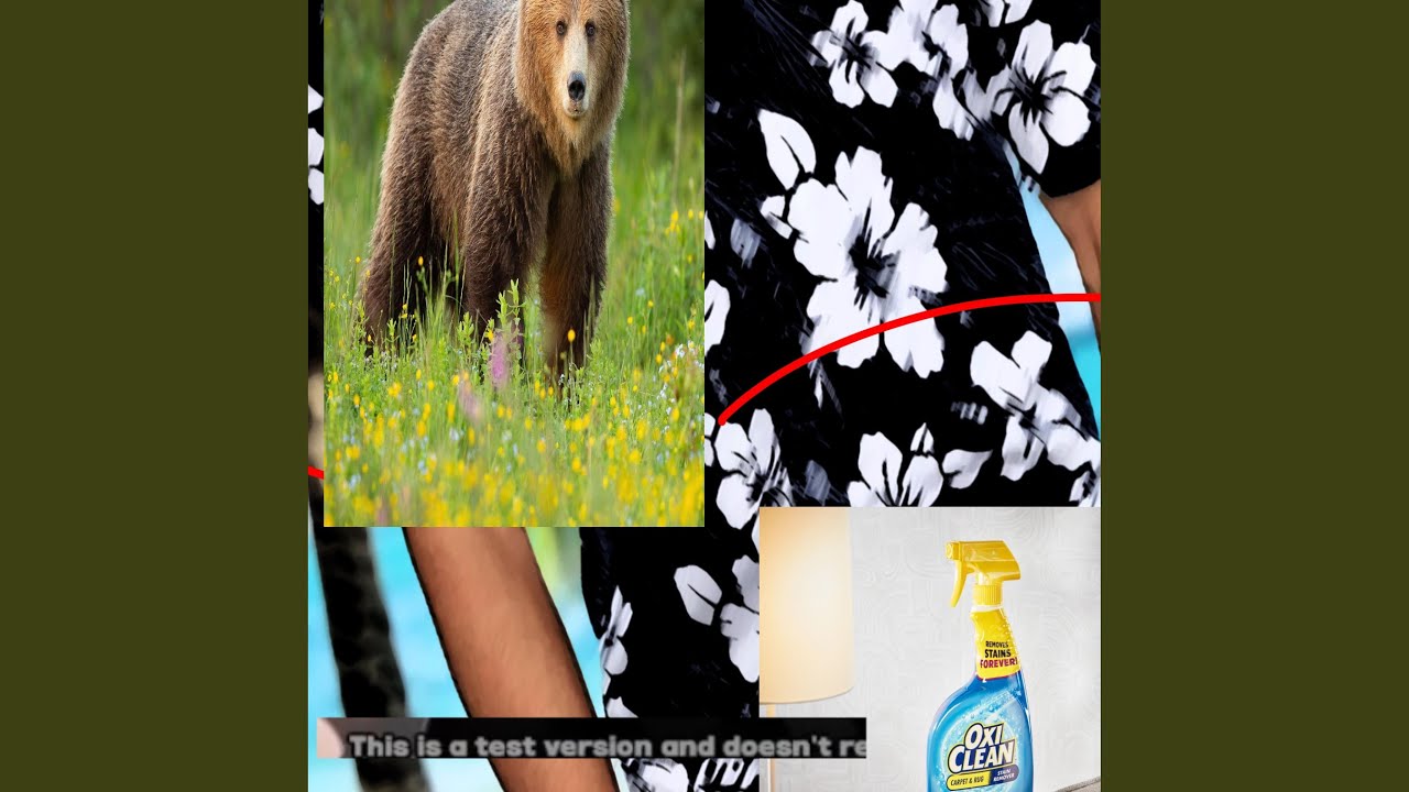 False Theme Keepinventory Youtube