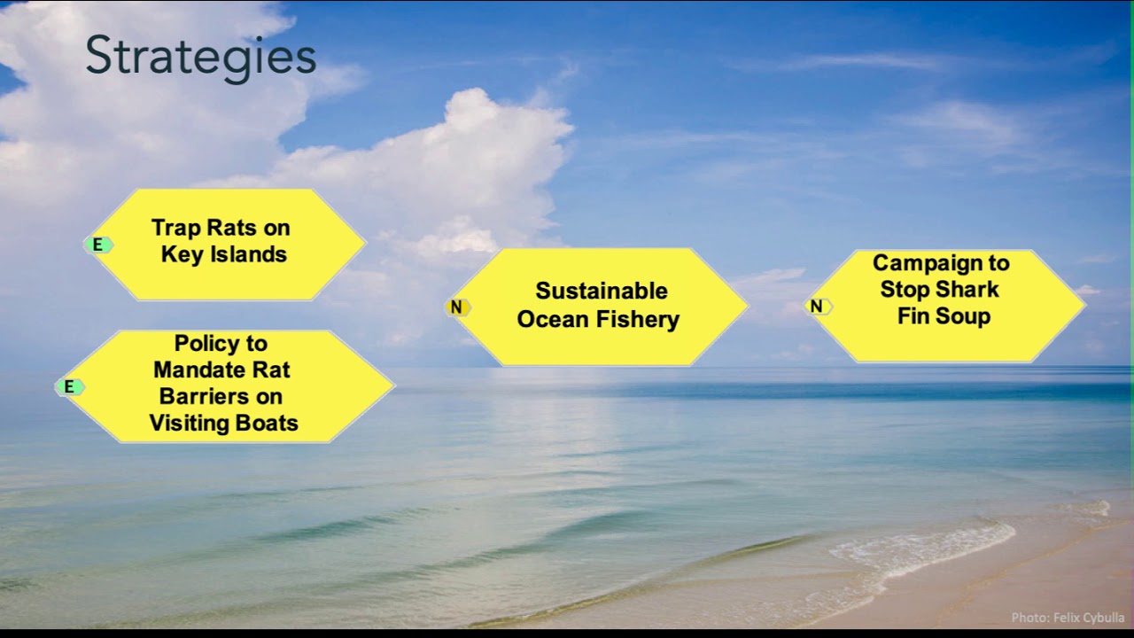 Module 0 Case Study Intro Cs Step 3 Online Course Youtube