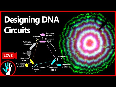 Live Programming Dna Circuits Learn Real Genetic Engineering Part