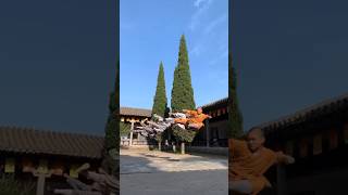 Shaolin Iron Zen Finger Training Shaolin Worldwide Mp3 Music & Mp4 ...