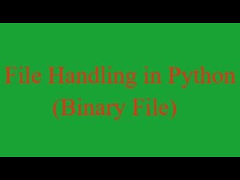 Binary File Handling Youtube