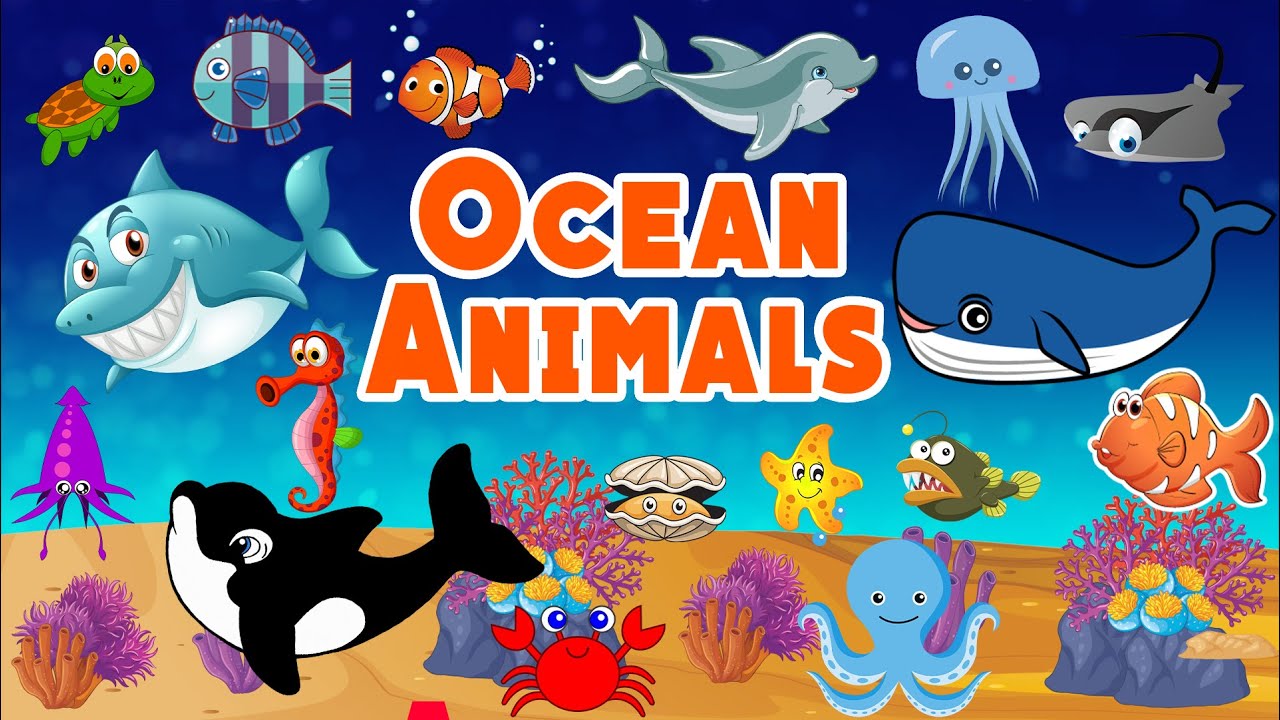 Ocean Animals Song Nursery Rhymes Kids Videos Littlekidstv Youtube