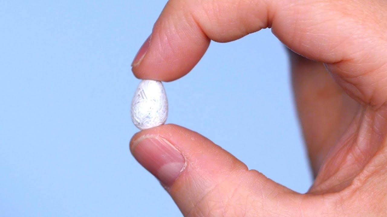 Worlds Smallest Bird Egg