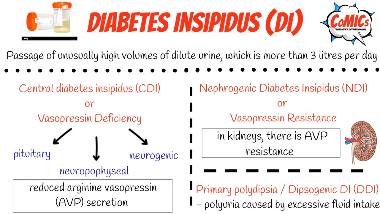 Comics Episode 72 Diabetes Insipidus Youtube