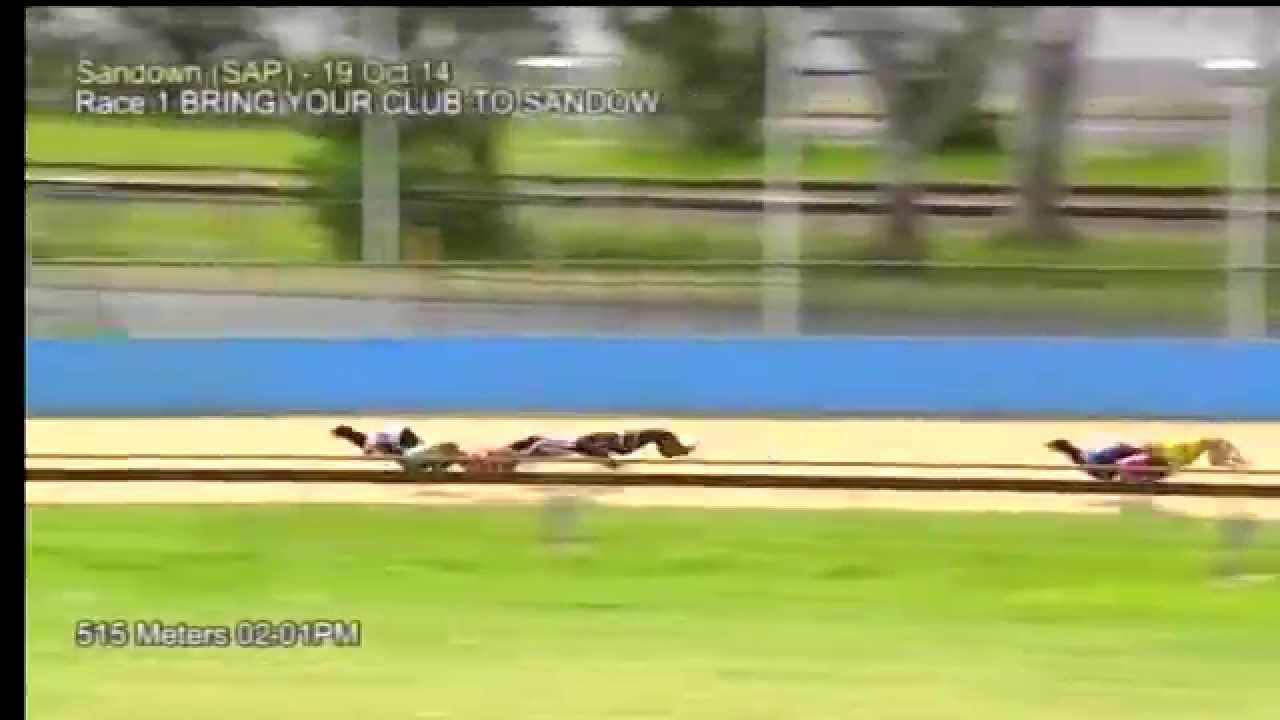 Sap Sun 19 Oct 14 R1 Youtube