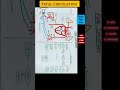 Fetal Circulation In Just 60 Seconds Fetal Fetalcirculation Anatomy ...