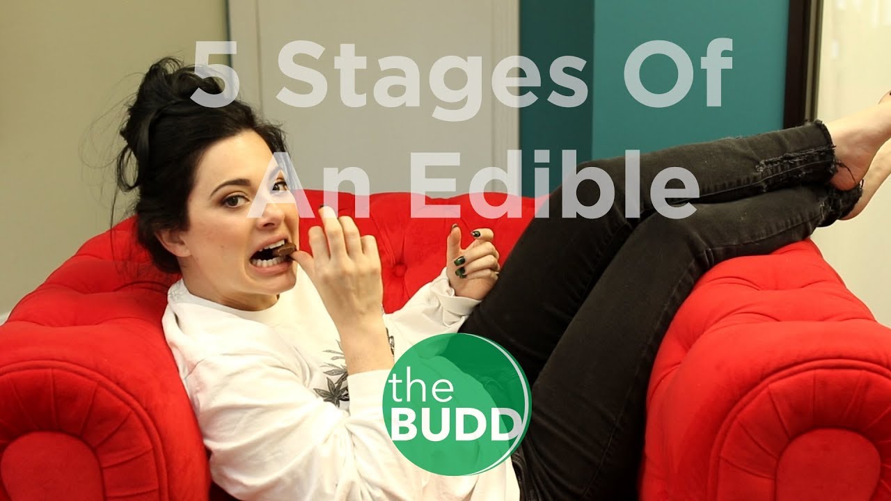 5 Stages Of An Edible Youtube