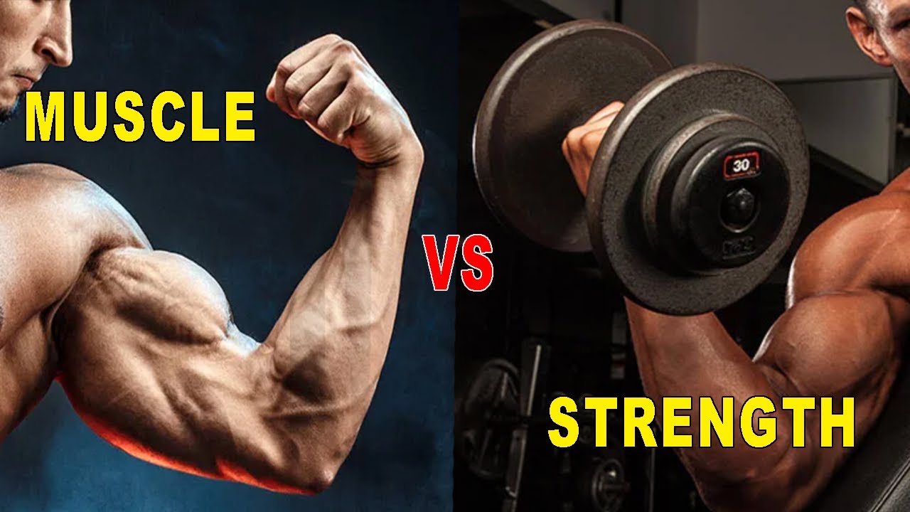 How To Build Strength Building Muscle Vs Building Strength Youtube