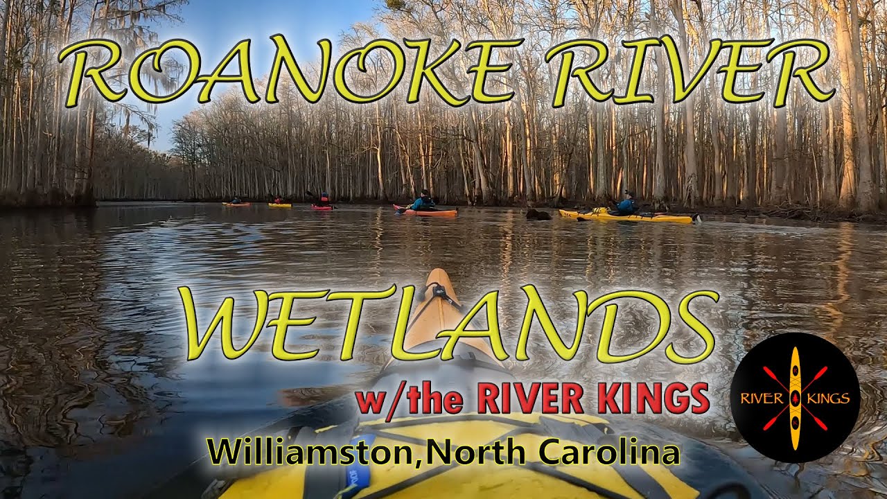 Roanoke River Wetlands Part 1 Youtube