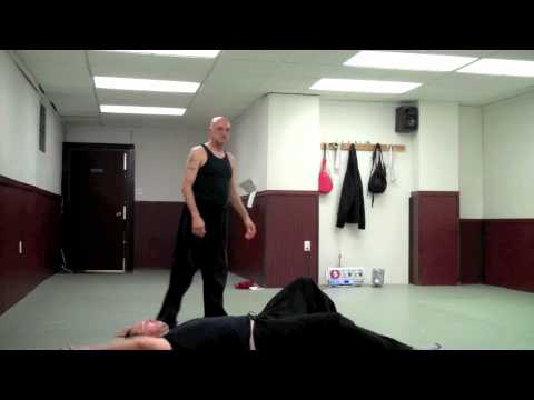 Praying Mantis Fighting Techniques Youtube