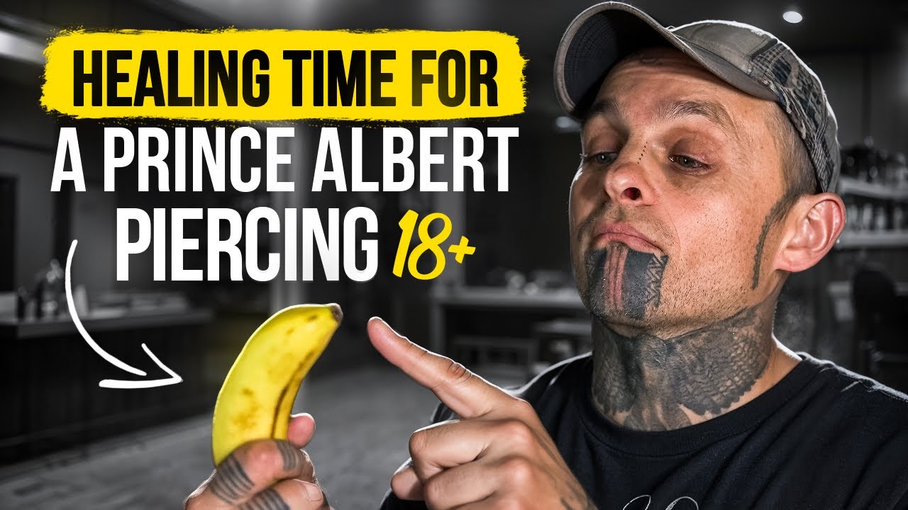 Healing Time For A Prince Albert Piercing Urbanbodyjewlery Com Youtube