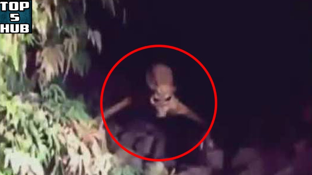 Creepy Monster Sightings