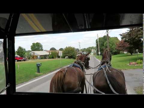 Mvi 6825 Youtube