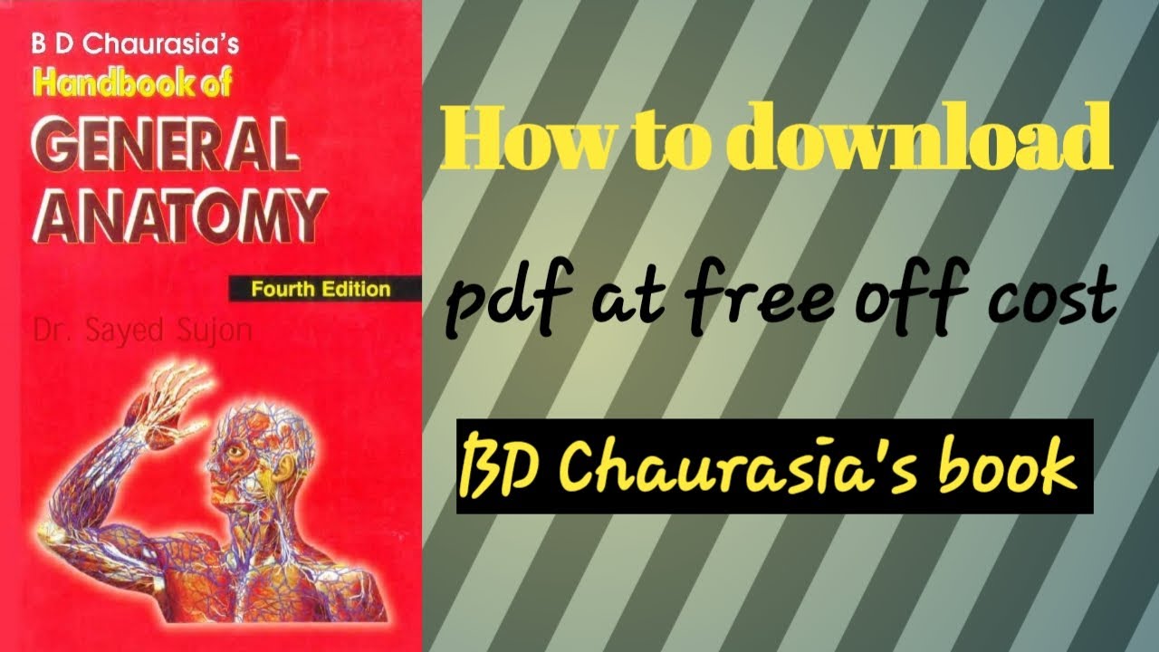 Bd Chaurasia Human Anatomy 6th Edition Pdf Flixlockq