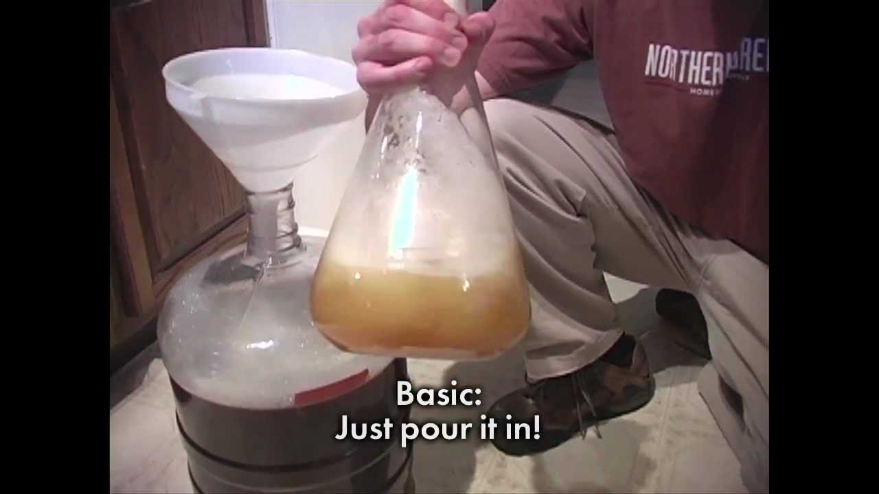 How To Make A Brewing Yeast Starter Northern Brewer Tv Brew Insight