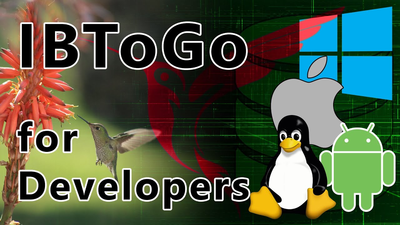 Interbase Togo For Developers Youtube