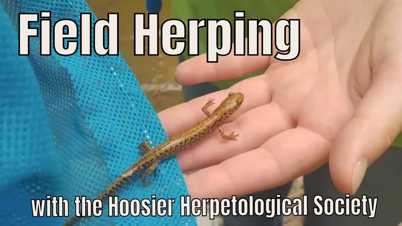 Equipment Field Herping At Mallory Sauer Blog