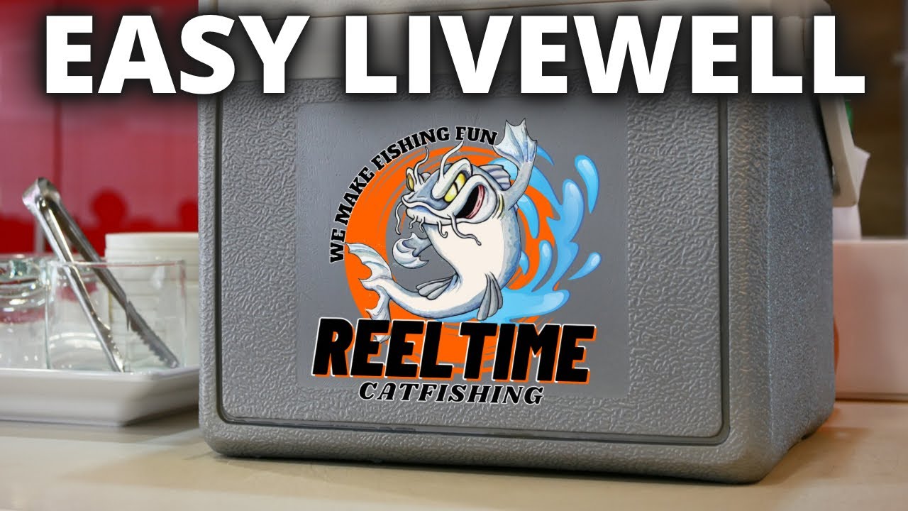 Making A Livewell Youtube