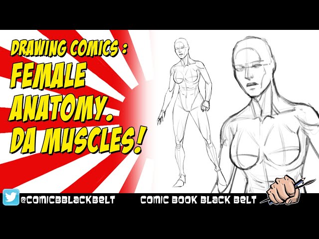 How To Draw Female Body Comic