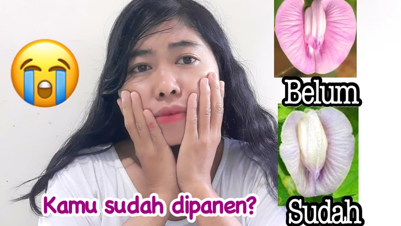 Yang Sudah Tidak Perawan Harus Nonton Ini Agar Bisa Perawan Kembali