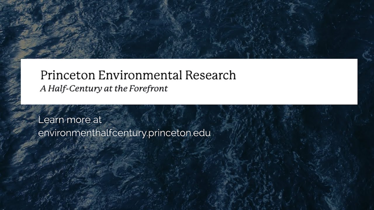 Environment Half Century Teaser Wide Youtube