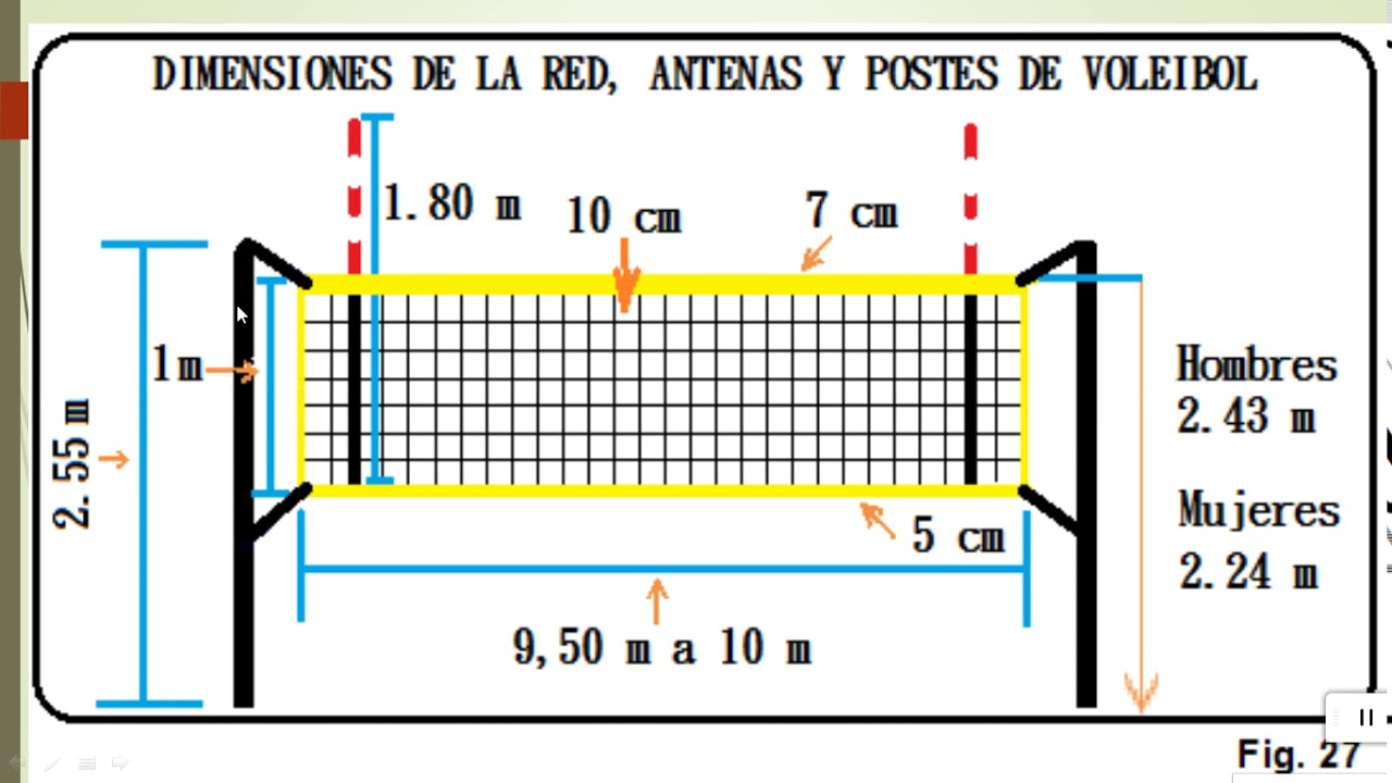 Cancha De Voleibol Dimensiones